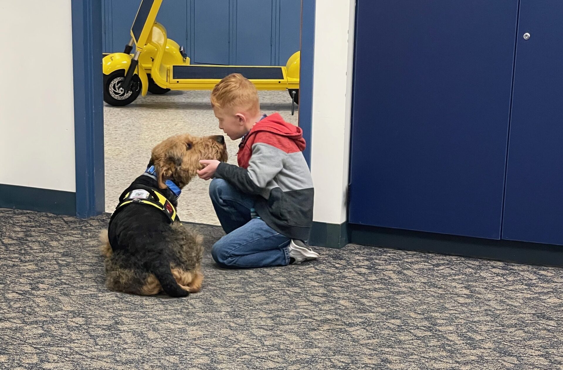 Animals in Schools - Remake Learning